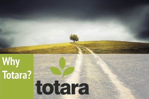 Totara Archives - Cortexa Ltd